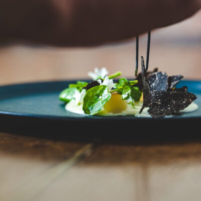 Gallery – OX Belfast