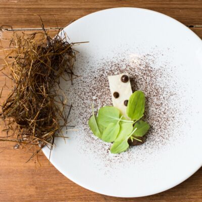 Gallery – OX Belfast