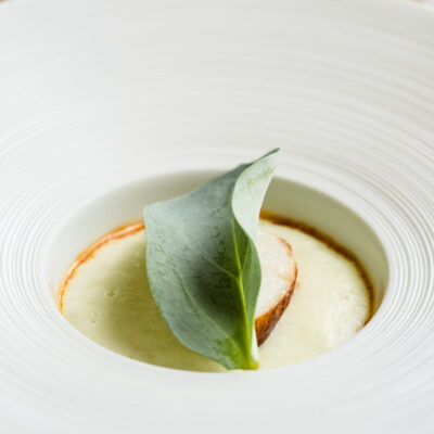 Gallery – OX Belfast